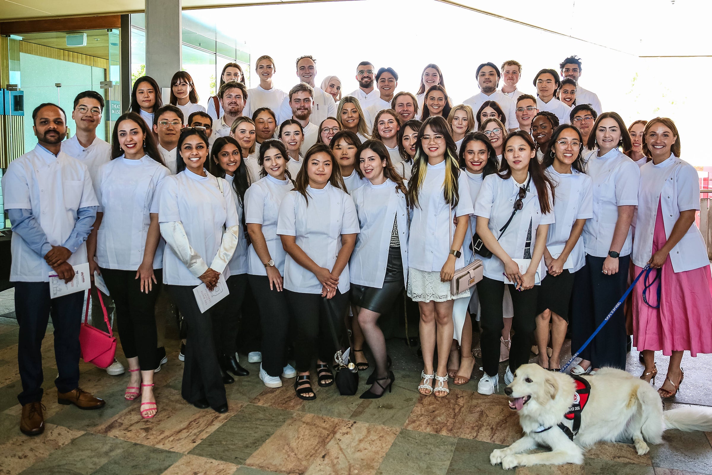 Griffith University Association of Pharmacy Students | Griffith ...